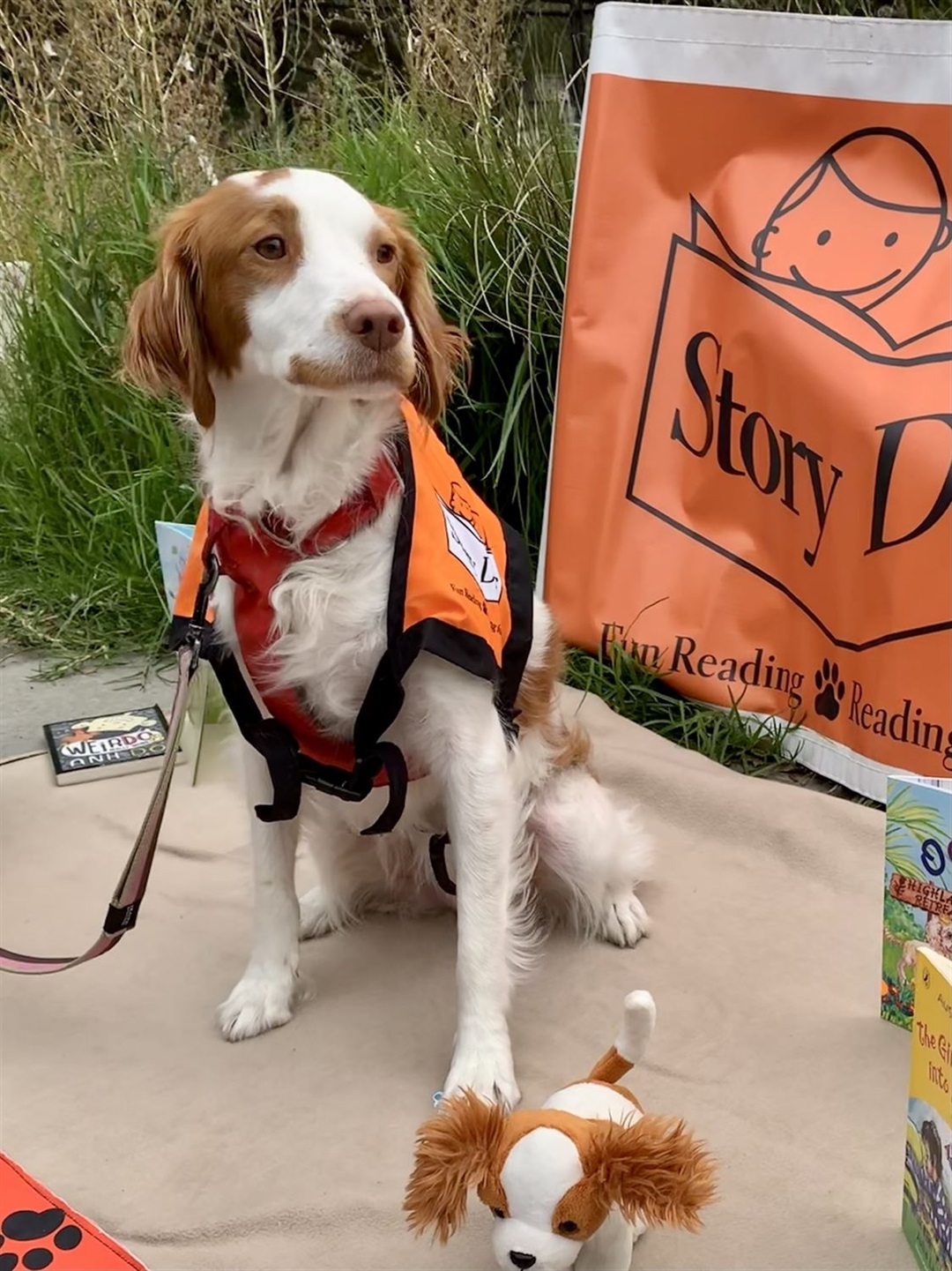 Story Dogs - Hastings Library - Mornington Peninsula Libraries